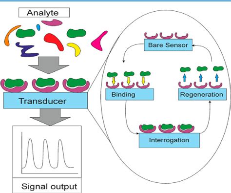 figure 1 from biosensing platforms for cardiac biomarker detection