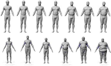 Figure 1 From Extracting Main Modes Of Human Shape Variation From 3 D Anthropometric Data