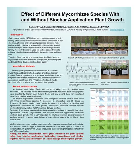 Pdf Effect Of Different Mycorrhizae Species With And Without Biochar