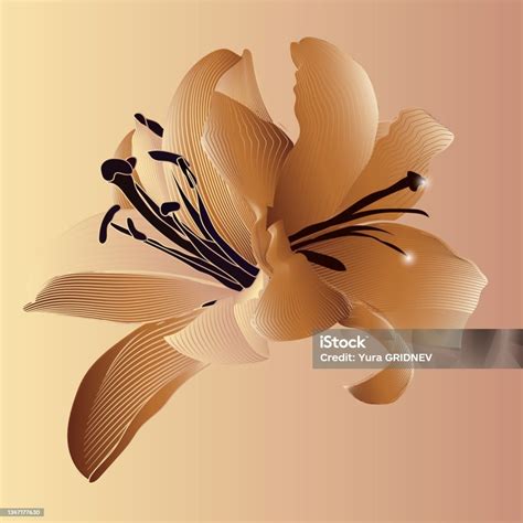 골든 연꽃과 자연 배경 고급 벽지 디자인 직물 인쇄 및 배경 질감을위한 연꽃 라인 아트 디자인 벡터 일러스트레이션 정원에 대한 스톡 벡터 아트 및 기타 이미지 Istock