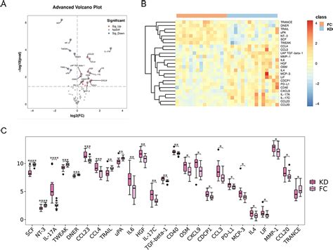 Serum Olink Targeted Proteomics Identifies Il 17a As A Potential Predi Serum Olink Targeted Proteomics Identifies Il 17a As A Potential Predi