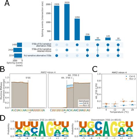 figure supplement 1 a upsetplot showing the overlap of download