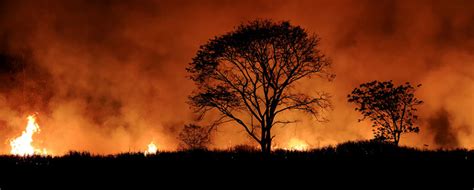Protecting Lives And Property From Extreme Bushfire Nci