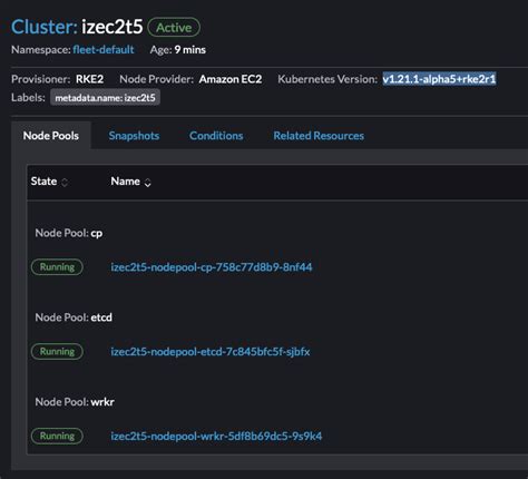 Rke2 Ec2 Multi Node Diferent Roles On Nodenodepool Provisioning Is