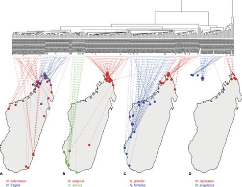 Dendrogram Plotted On Geographic Map Allocation Of Species Pairs On