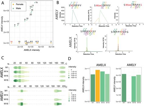 Automated High Throughput Biological Sex Identification From