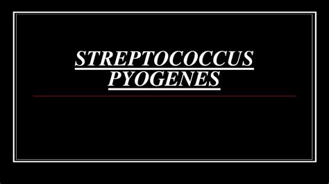 Streptococcus Pyogenes Ciencias De La Salud Udocz
