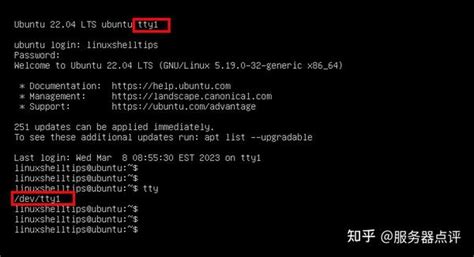 Linux系统：devtty、devtty0 和 Devconsole之间的区别 知乎
