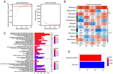 Identification Of Module Genes And Their Functional Annotation A