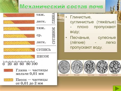 Знания о почвах, вклад В.В. Докучаева в создании науки «почвоведения ...
