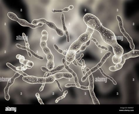 Scary Germs Under A Microscope At Jaxon Burnett Blog