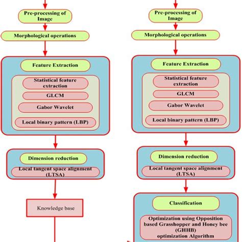 Proposed Lung Cancer Classification Structure Download Scientific Diagram