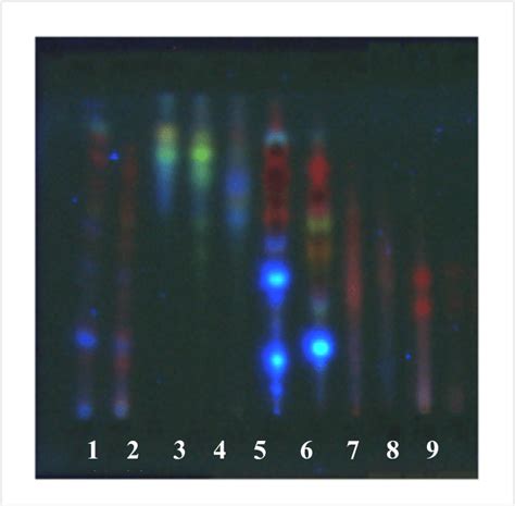 Figure S TLC Chromatogram Of Fractions Obtained After Short Column