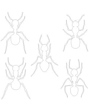 Cute Ant Outline Patterns Dfx Eps Pdf Png And Svg Cut Files