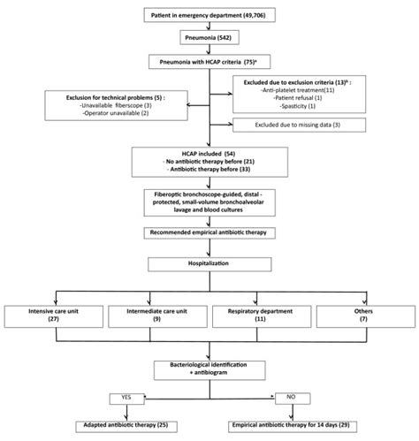 Flow Chart A Hcap Criteria Hospitalized For Two Or More Days In An