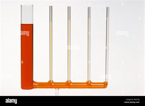 Capillary Action Capillary Action Capillary Action And Flow Through