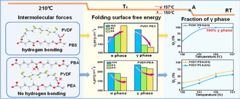 Influence Of Aliphatic Polyesters On The γ Phase Crystallization Of