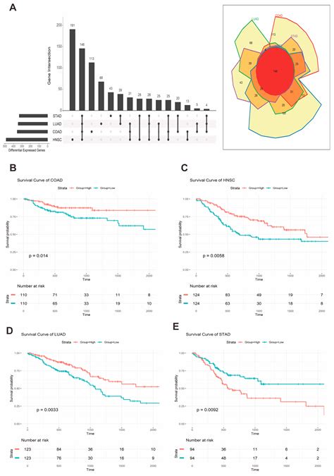 An Integrated Pan Cancer Analysis And Structure Based Virtual Screening Of Gpr15