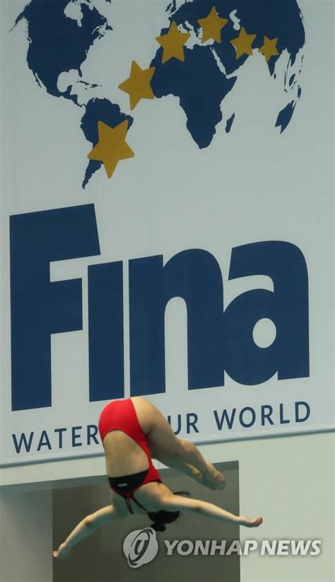 Fina 광주수영선수권대회 일주일여 앞으로 연합뉴스
