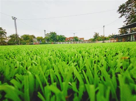 Kis Fotboll Tillsammans Har De Sex Ben Sex Armar 30 Tår Och 30