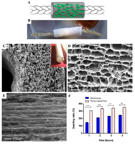 Figure 1 From Biomimetic Scaffolds For Tendon Tissue Regeneration Semantic Scholar