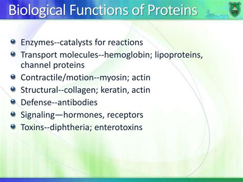 Ppt Structure Function Relationship Fibrous Proteins Powerpoint Presentation Id2019951