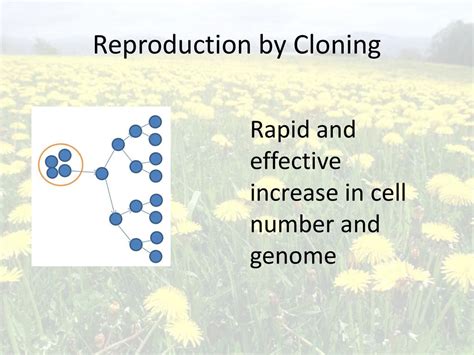 Why Sex Ppt Download