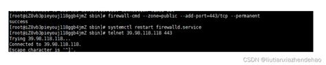 重启nginx后无法网页无法访问问题nginx 网页登录失败 Csdn博客