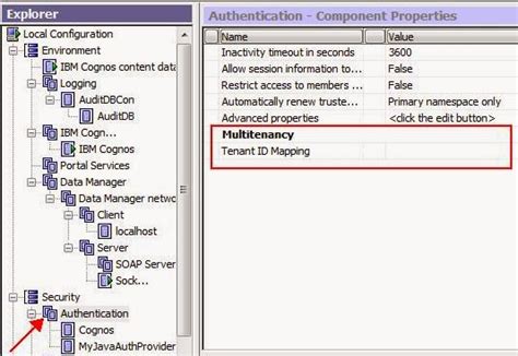 Business Analytics Ibm Cognos Bi Setting Up Multi Tenancy Environment Using Custom Java Provider