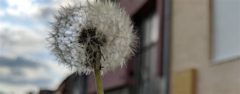 Asynchronous Programming With Kotlin And Coroutines — Lesson 2