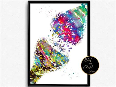 Brain Synapse Human Brain Neurotransmitters Medical Art Brain Art Neurology Poster Neuronal