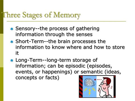 Memory Lecture Powerpoint 1