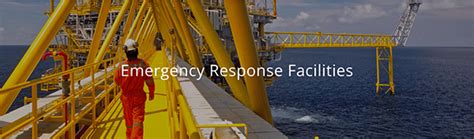 Emergency Response Facilities Steam Gas And Hydraulic Turbines Proeon Systems Ltd