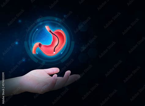 Endoscopic Biopsy Esophagogastroduodenoscopy Egd Human Stomach
