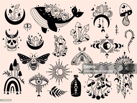 신비로운 천체 클립 아트 번들 신비주의와 밀교 꽃 달 꿈의 포수 달의 위상 우주 고래 고립 된 벡터 요소 추상적인에 대한 스톡 벡터 아트 및 기타 이미지 Istock