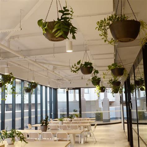 Pots Hanging Pots Tlc Works