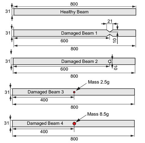 Beams Used For Damage Detection Download Scientific Diagram
