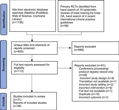 Knee Braces For Knee Osteoarthritis A Scoping Review And Narrative Synthesis Of Interventions