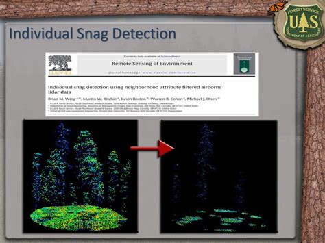 individual snag detection ppt download
