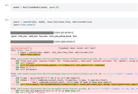 multi output classifier part 1 2022 fast ai course forums