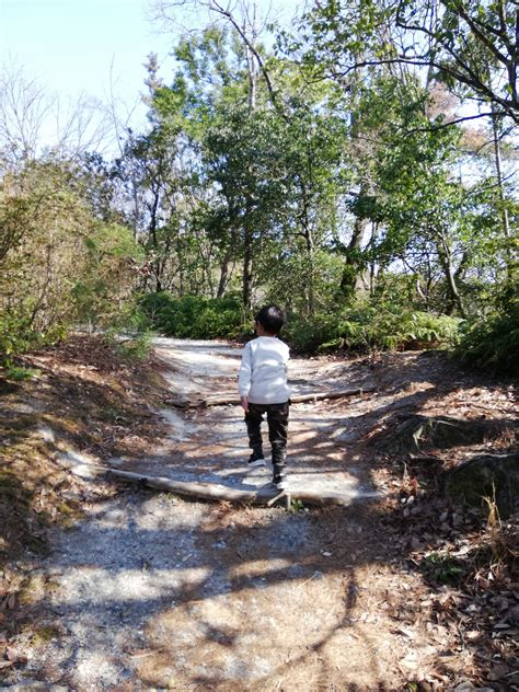 継続的な負荷をかけてケガをしない工夫
