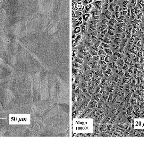 Sem Images A Base Metal Microstructure And B Weld Joint