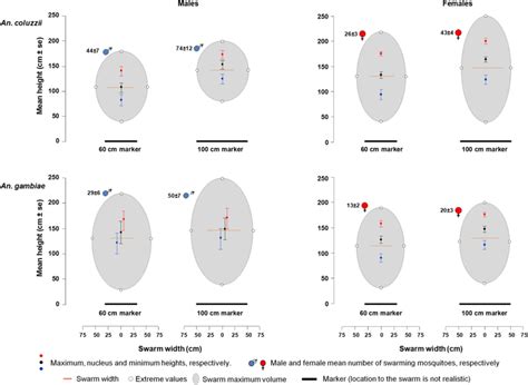 Swarm Characteristics In Both Males And Females Of Anopheles Gambiae