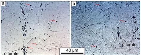 Microstructure Of A Ss 316l And B Ss 304l Used The