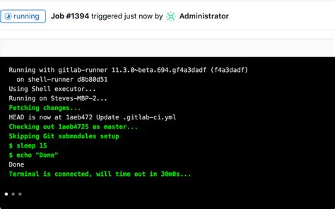 Interactive Web Terminals GitLab