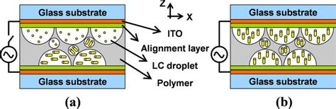 A Polarization Independent Liquid Crystal Phase Modulation Adopting