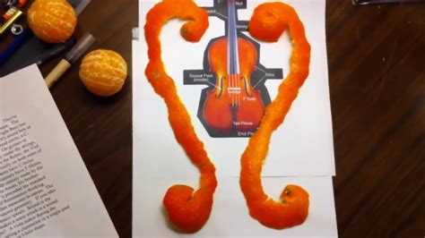 Why Is There A F Hole In A Violin Stringed Instrument What Is The Origin Of That Form Gigazine