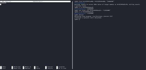 Targeted Process Injection Linux Cyber Security Notepad