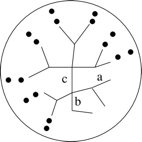 Culling Of A Cluster For K 3 On A Bethe Lattice With Coordination Download High Quality