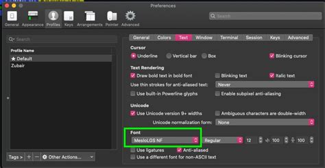 Oh My Zsh PowerLevel K Terminal DEV Community
